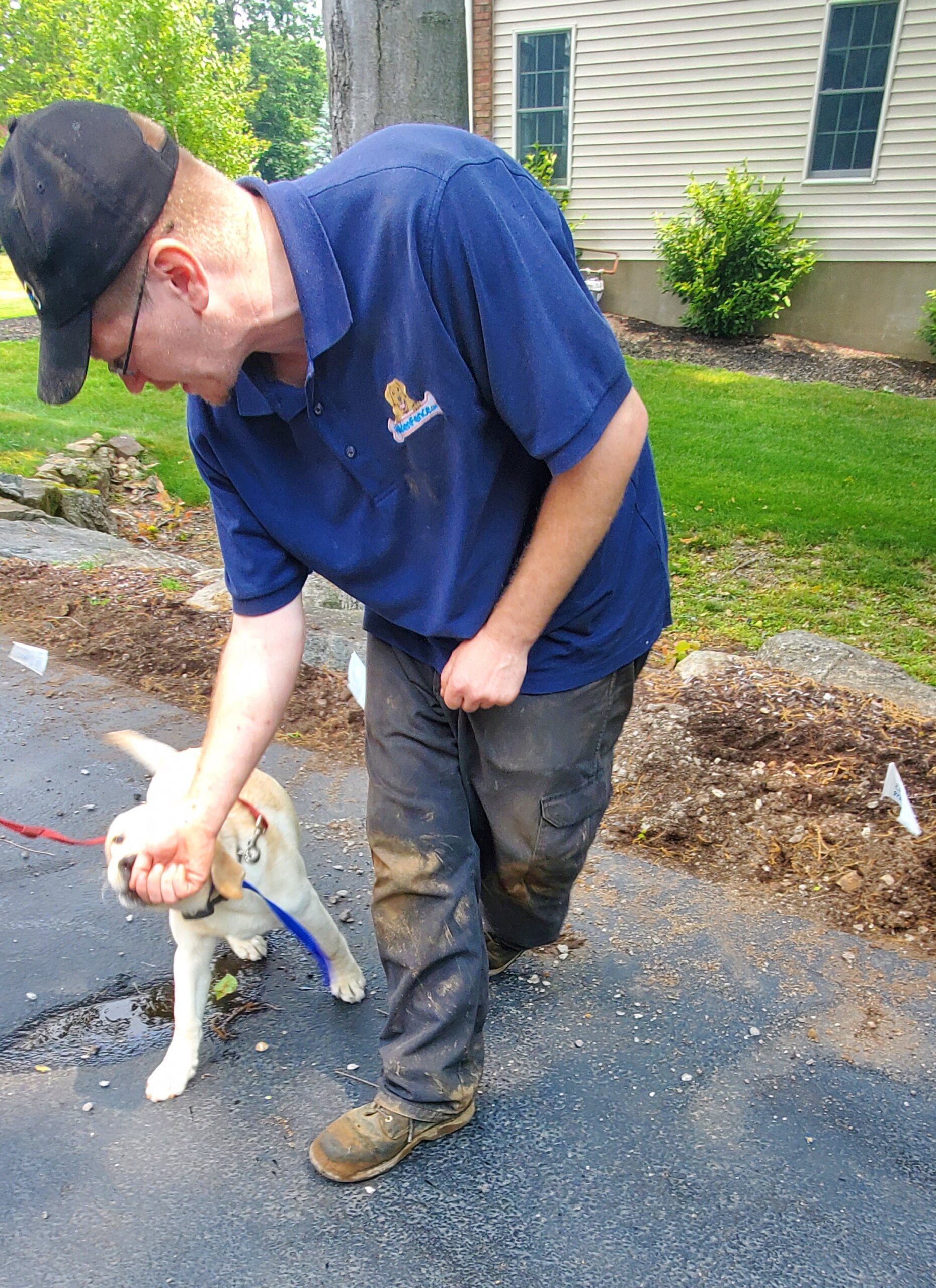 Goose and Guinness from Randolph